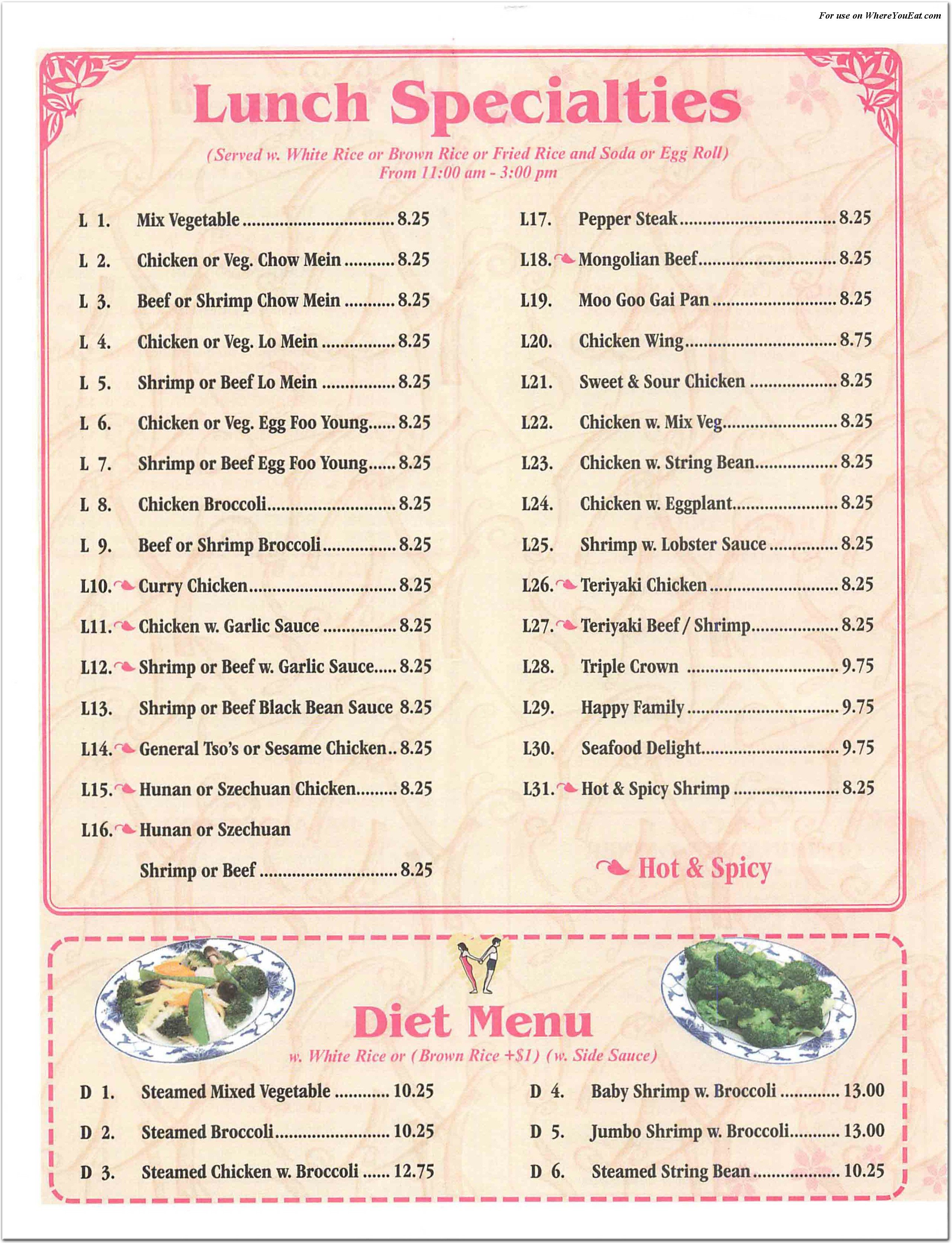 Halal Dynasty Restaurant In Queens Official Menus Photos halal-dynasty-restaurant-in-queens-official-menus-photos