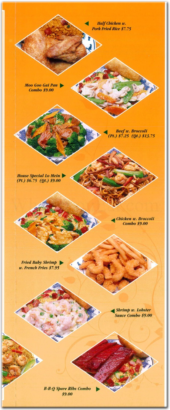 Chan's Village Restaurant in The Bronx / Official Menus & Photos